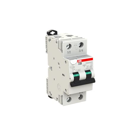 DS202CR C13 AC300 | ABB