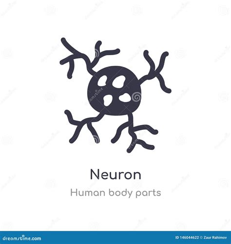 neuron outline icon isolated line vector illustration from human body