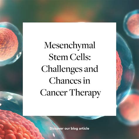 Promocell On Linkedin Cancerresearch Stemcells