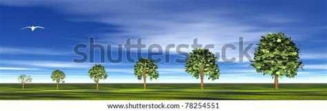Small Big Trees Nature Background Blue Stock Illustration 78254551