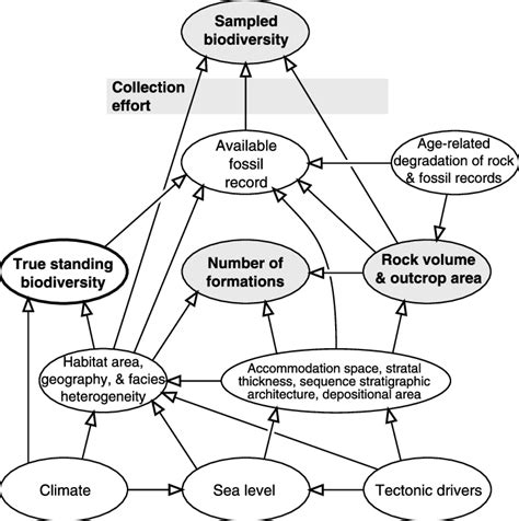 Schematic Diagram Showing Complex Interrelationships Between Major