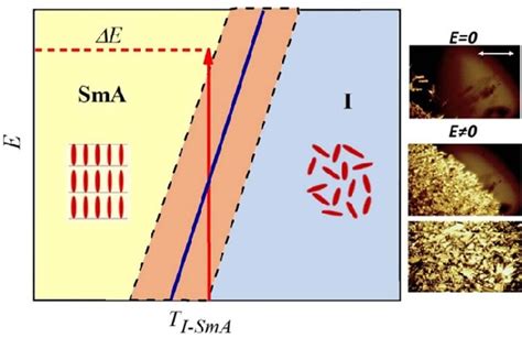 Schematic Electric Field Temperature Phase Diagram For Smectic A Sma