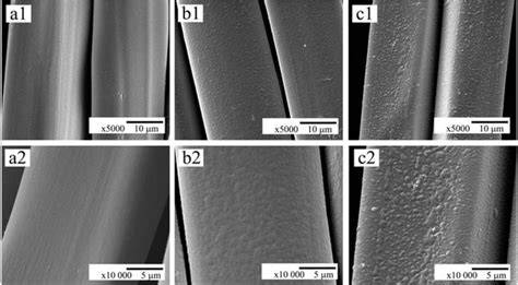 Figure 1 From Influence Of Layer By Layer Polyelectrolyte Deposition And Edcnhs Activated
