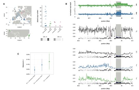 Sequence And Structural Diversity Around R2d2 A Geographic Origin Of