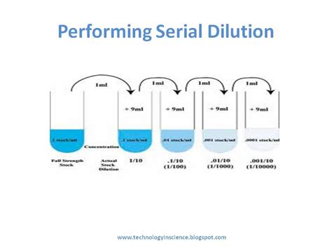 Serial Dilution Process At Shelley Siegel Blog