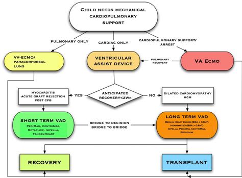 Rob Mac Sweeney On Linkedin Advances In Extracorporeal Support Technologies In Critically Ill