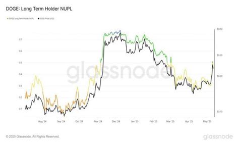 تحلیل دوج‌کوین؛ آیا رشد ۱۸۰ درصدی در راه است؟ اکسکوینو