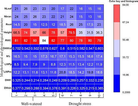 heatmap for morphological and physiological parameters under