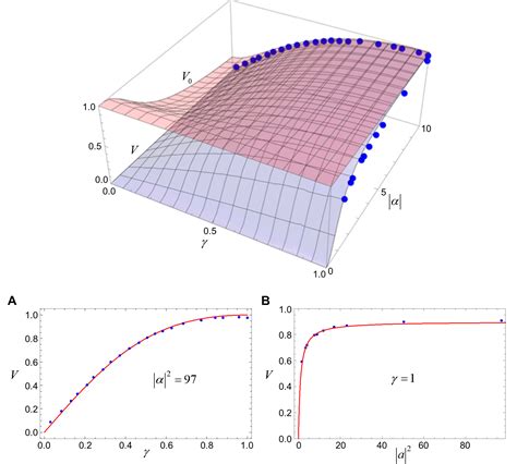 Experimental Confirmation Of The Fundamental Principle Of Wave Particle Duality
