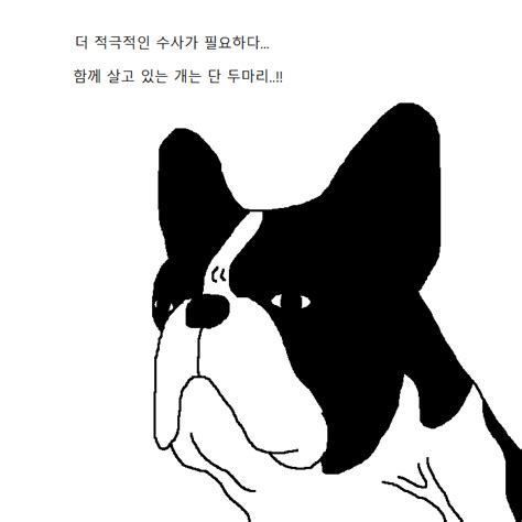 보스턴 테리어가 개밥도둑 찾는 만화 짤툰