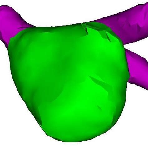 A Shows An Extended Cardiac Mesh Model Including Major Vessels