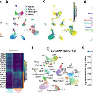Multimodal Integration Identifies Rare And Unannotated Cell States