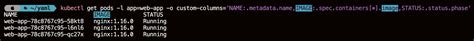 k8s工作负载控制器 statefulset statefulset 升级 csdn博客
