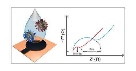 Biolayer Interferometry Guided Functionalization Of Screen Printed