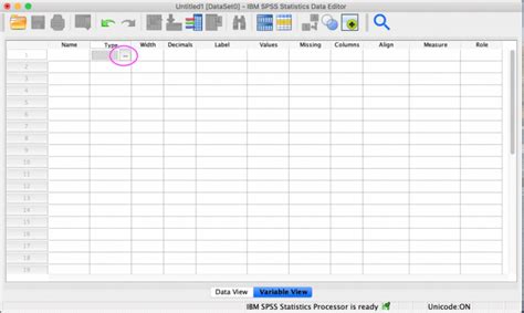 How To Code A Questionnaire In Spss A Practical Guide Resourceful