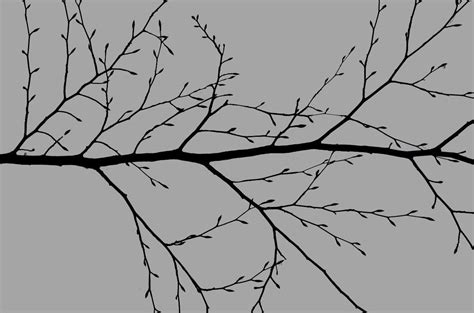 Towards Data Science On Linkedin A Gentle Introduction To Branch And Bound