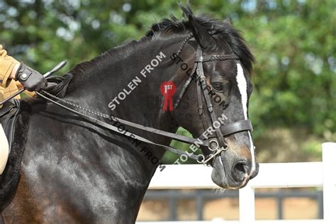 A361721 2025 1st Class Images