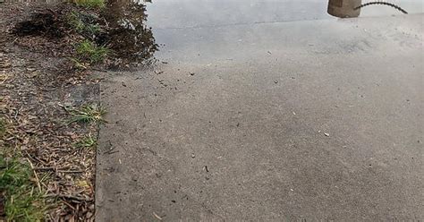 Puddle Only Desire Path Imgur