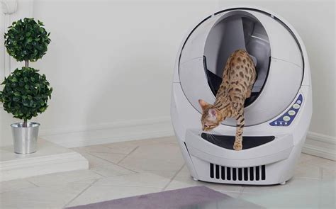 Автоматический туалет для кошек и котов: как работает умный кошачий лоток