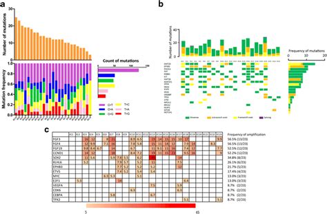 Genomic Characterization Identified In Pdx Models Of Escc A Spectrum