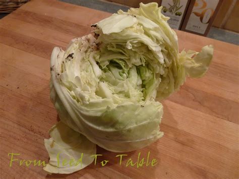From Seed To Table Ugly Cabbage