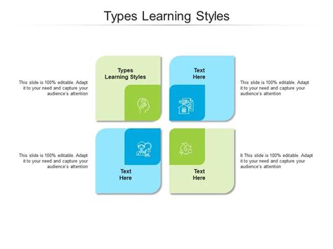 Types Learning Styles Ppt Powerpoint Presentation Shapes Cpb