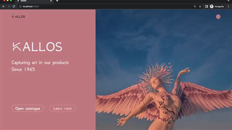 salem hamdani on linkedin nestjs angular typescript webdevelopment