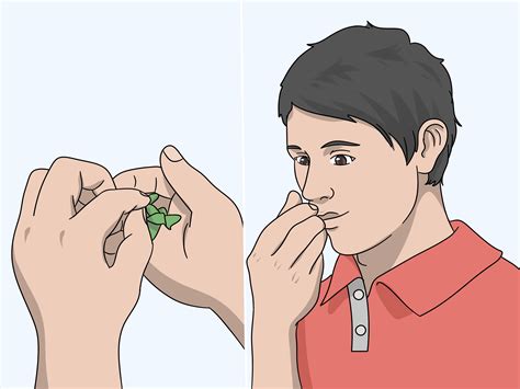 Easy Ways To Identify Walnut Trees 11 Steps With Pictures Building