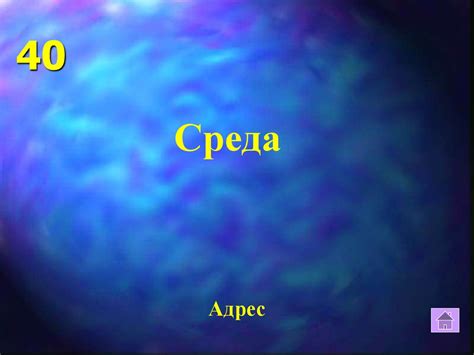 Игра викторина по информатике презентация онлайн