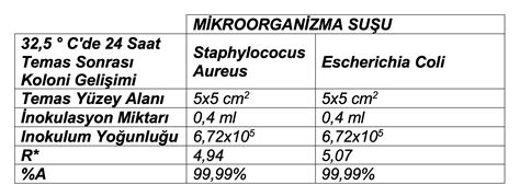 Testing Antimicrobial Effect