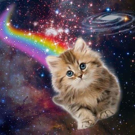 Nyan Cat Is Real Silly Cats Pictures Iphone Wallpaper Cat Nyan Cat