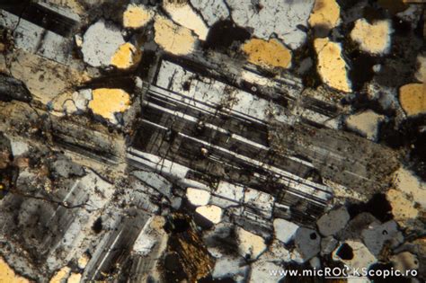 Pyroxene Plagioclase Thin Section
