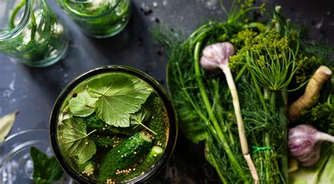 La Lactofermentation Un Mode De Conservation Ancestral Bio à La Une