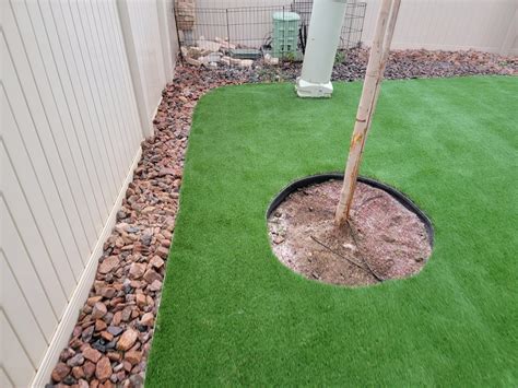 How To Lay Artificial Grass Around A Tree At Mallory Sauer Blog