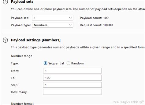 Ctfshow Web Ctf Substr Csdn