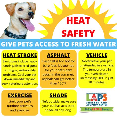 Laredo Animal Protective Society Laredo Animal Protective Society