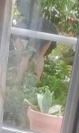 Copines Porn Pictures Xxx Photos Sex Images 1742514 Pictoa