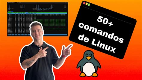 Comandos Básicos De Linux ¡50 Comandos En Acción Techolivops