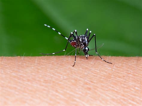 Modafen 200 Mg30 Mg Potahované Tablety Příbalový Leták Zdraví