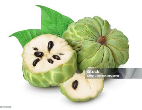 설탕 사과 또는 커스터드 사과 는 클리핑 경로와 필드의 전체 깊이와 흰색 배경에 고립 이국적인 열대 태국 아노나 또는 체리모야 과일 0명에 대한 스톡 사진 및 기타 이미지