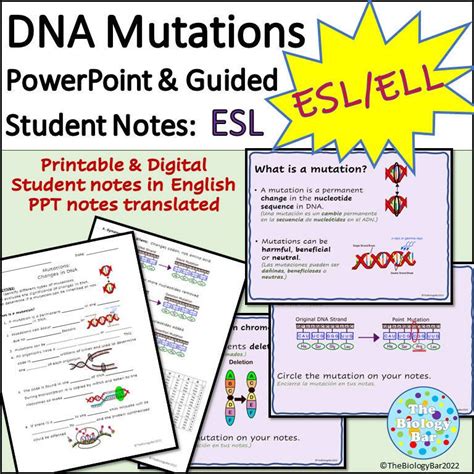 Biology Dna Mutations Powerpoint And Student Notes Bilingual Marketplace