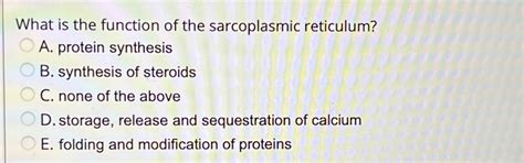 Solved What Is The Function Of The Sarcoplasmic Reticuluma