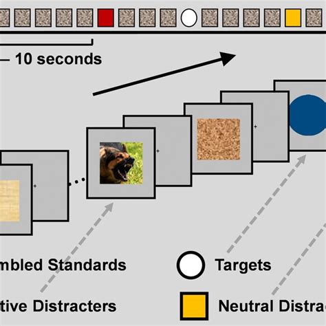 Diagram Of The Emotional Oddball Task Participants Detected Rare