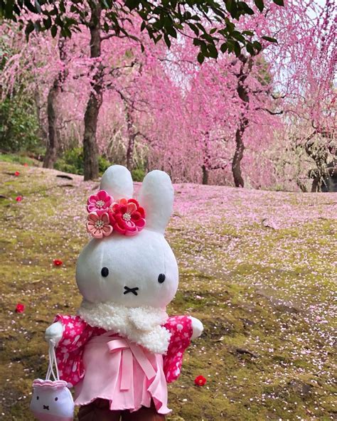 110 Miffy 🐇 Ideas In 2025 Miffy Cute Stuffed Animals Cute