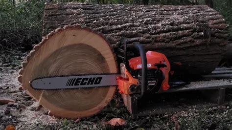 ECHO CS 3510 Homeowner Chainsaw Review Forestry Reviews