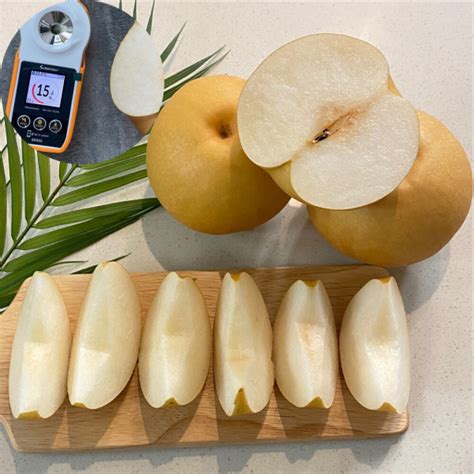 9 3 Lê Won Hwang Hàn Quốc Biovegi Biovegi