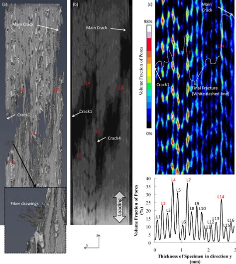 The Comparisons Between The Fracture Behavior And The Distribution Of