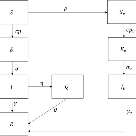 Sample Theoretical Networks Used In The Network Epidemic Model Panel Download Scientific