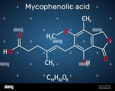 Mycophenolic Stock Vector Images Alamy