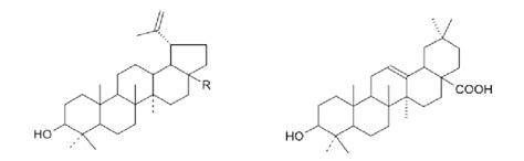 Formulas Of The Main Components Of The Extract Download Scientific Diagram